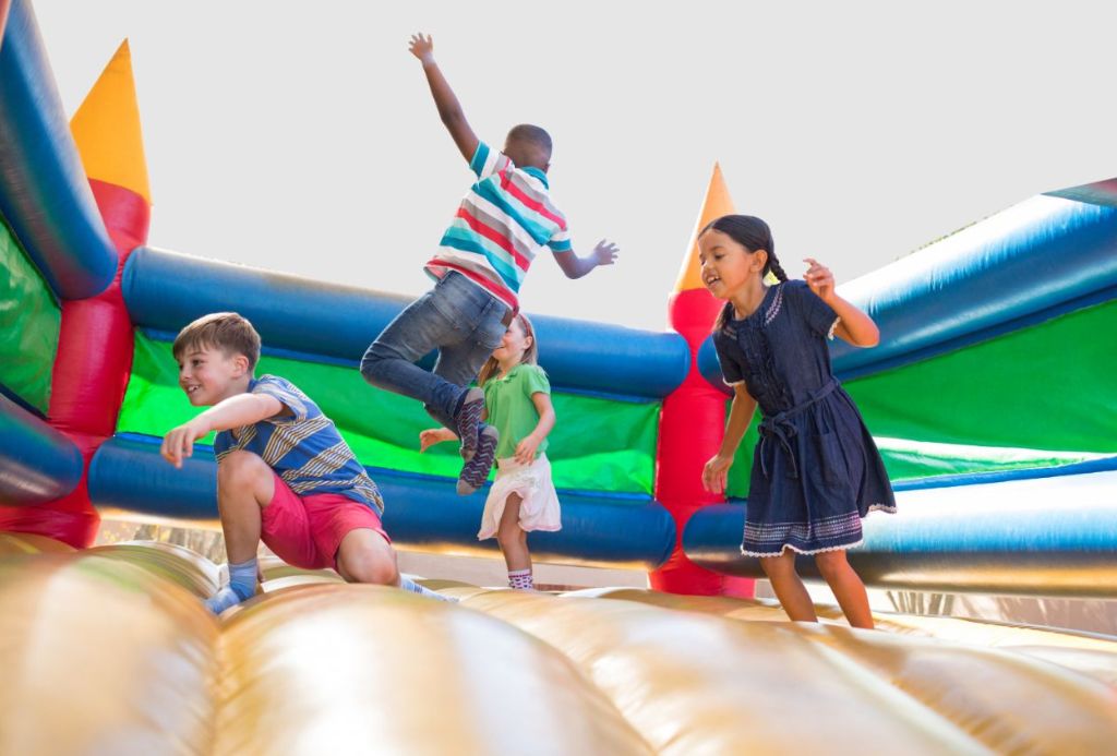 The Madd Fun Company | Hawke's Bay Online