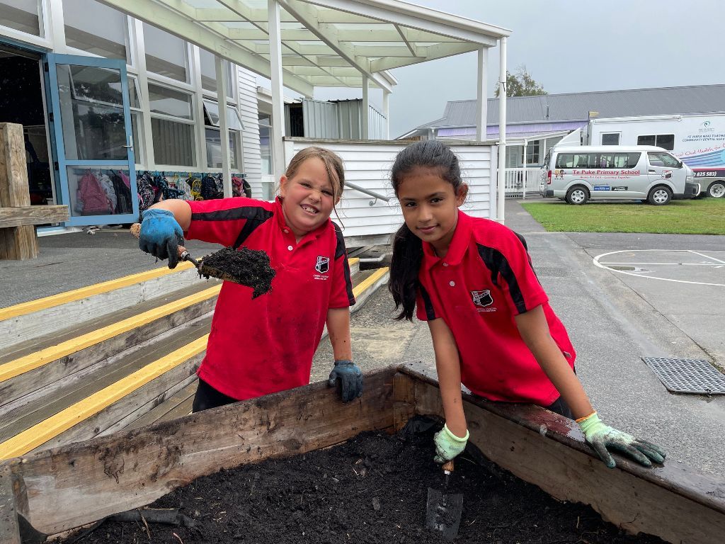 Te Puke Primary | Te Puke Online
