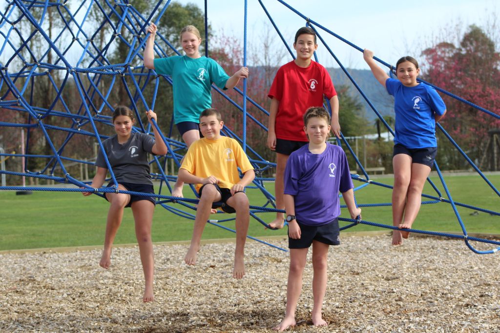 Te Puke Intermediate | TePuke Online