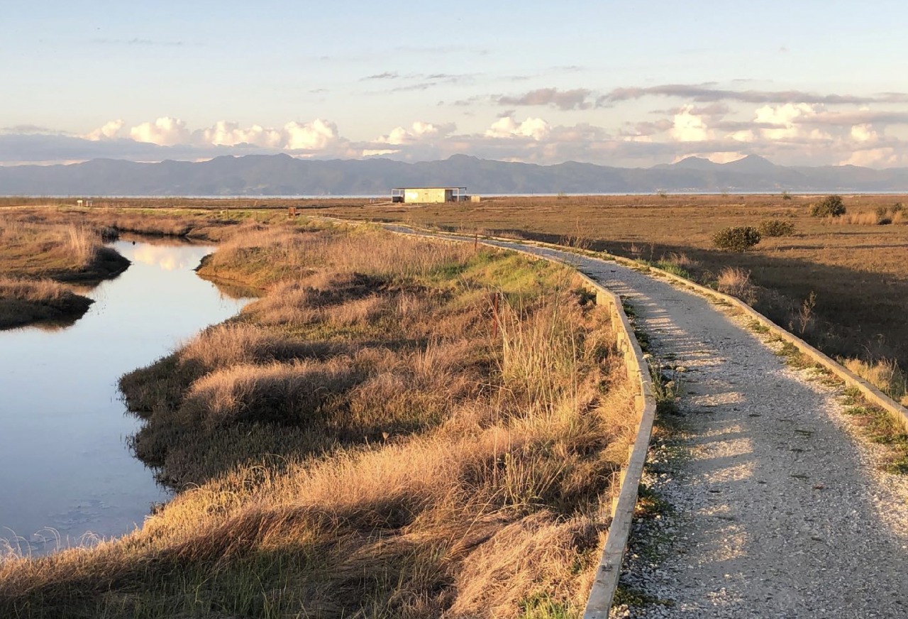 The Full Monty - Hauraki Rail Trail | Hauraki Rail Trail