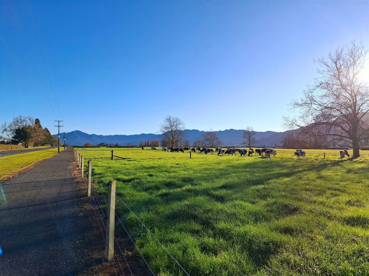 5 Days on a Budget - Hauraki Rail Trail | Hauraki Rail Trail