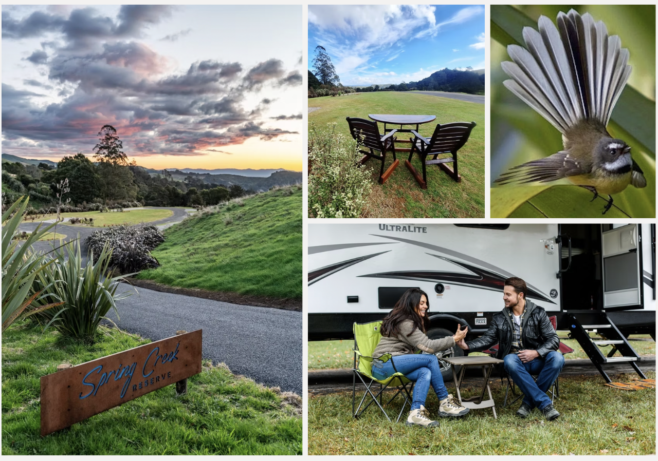 Spring Creek Reserve - Hauraki Rail Trail | Hauraki Rail Trail