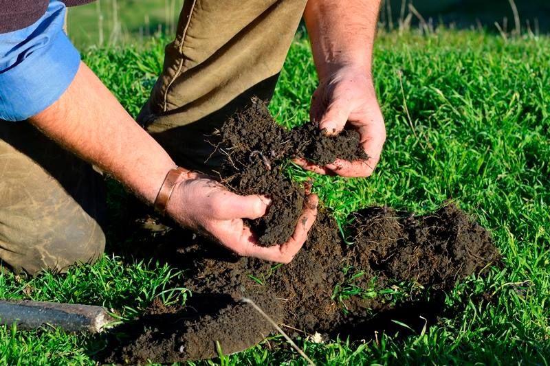 BioAg | Hawke's Bay Online