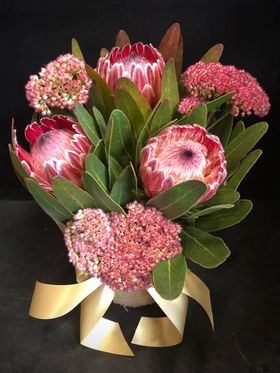 Protea Beauty - Te Puke Florist | Te Puke Florist