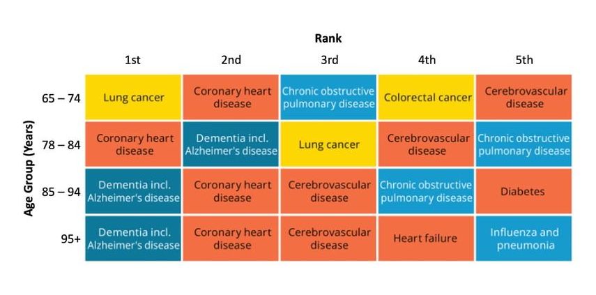 Signs Of Health Concerns In Ageing Loved Ones | DR Care Solutions