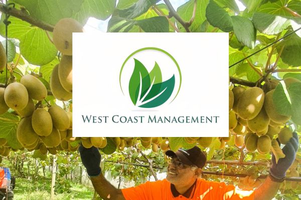 West Coast Management Ltd | TePuke Online