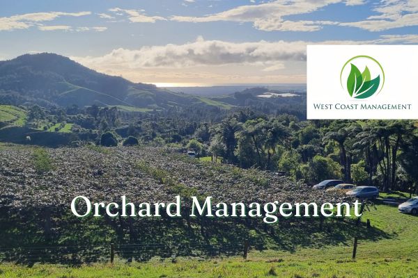 West Coast Management Ltd | TePuke Online