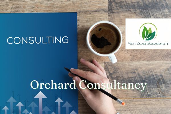 West Coast Management Ltd | TePuke Online