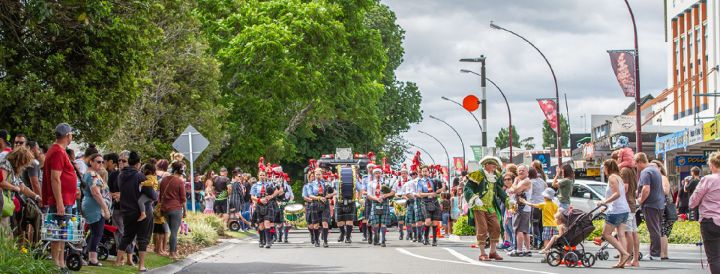 TePuke Online: Welcome to Te Puke Online