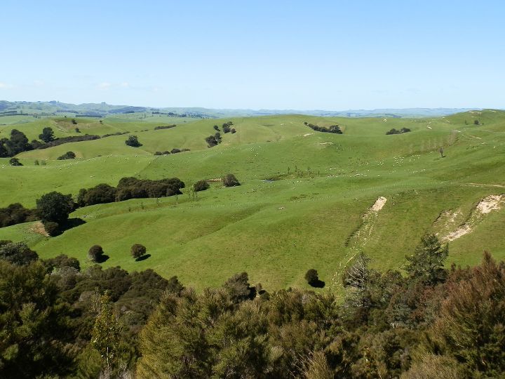 Ranui Farm Park | Hawke's Bay Online