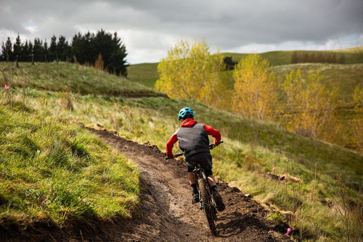 Ranui Farm Park | Hawke's Bay Online