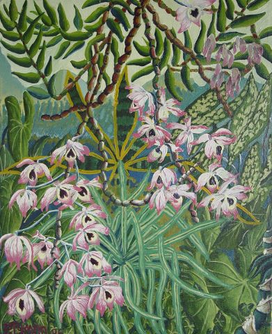 Dendrobium Noble Orchid - Patrick Tyman Art | Hawke's Bay Online