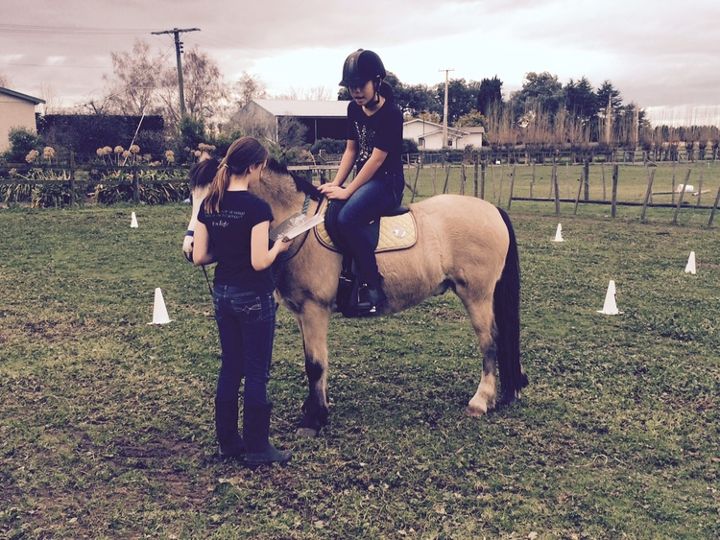 Pony Camps - Stable Hearts | Hawke's Bay Online