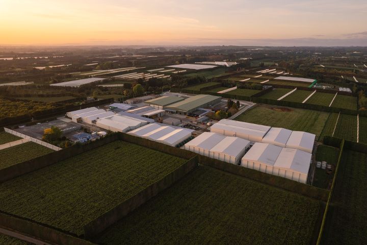 DMS Progrowers | Te Puke Online