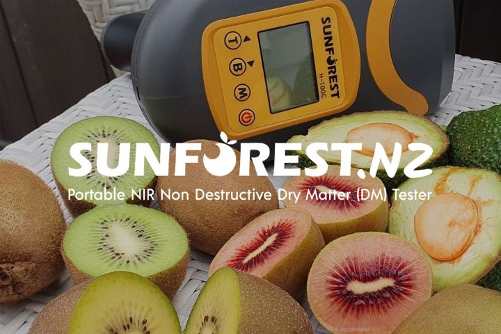 Easter Sculpture Trail & Fair | Te Puke Online | Te Puke Online