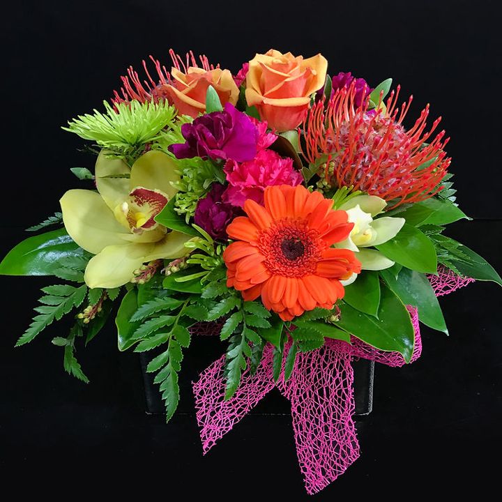 Hot Shot - Te Puke Florist | Te Puke Florist