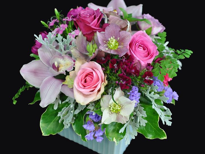 Fleur - Te Puke Florist | Te Puke Online