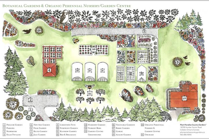 Perennial Nursery Layout