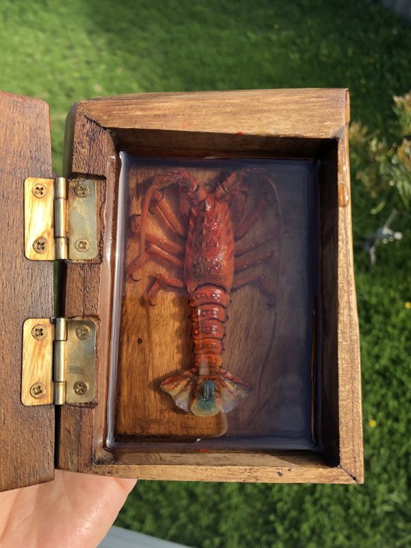 hand painted 3D crayfish - sisiartgallery | Chooice