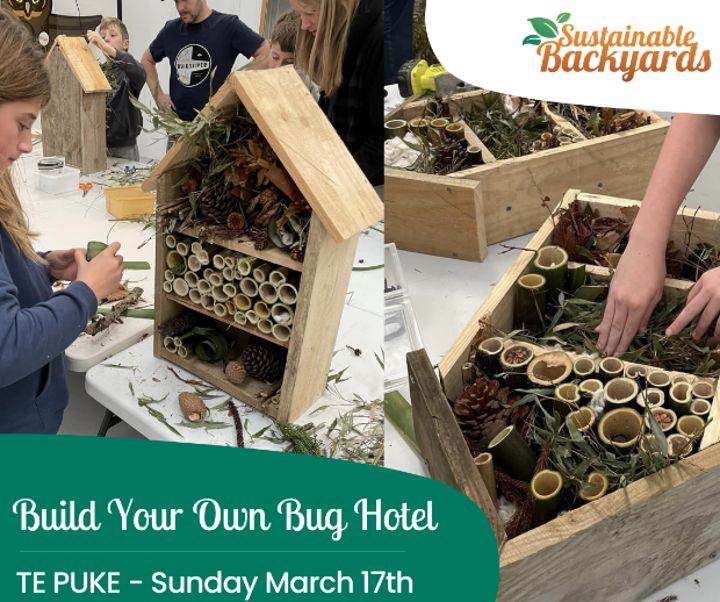 Build your Own Bug Hotel - Envirohub Bay of Plenty