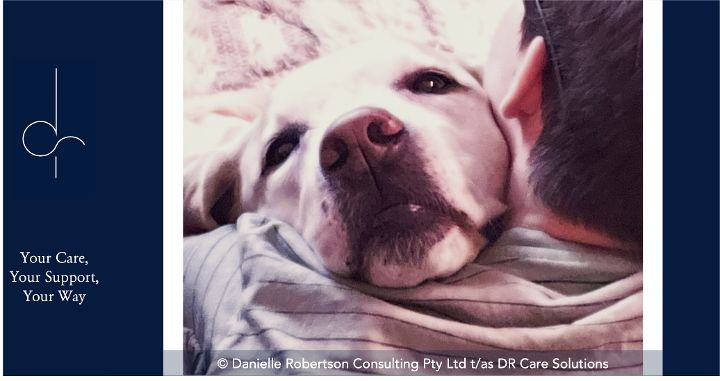 Dogtober! Let's Celebrate Support & Companion Dogs Everywhere!